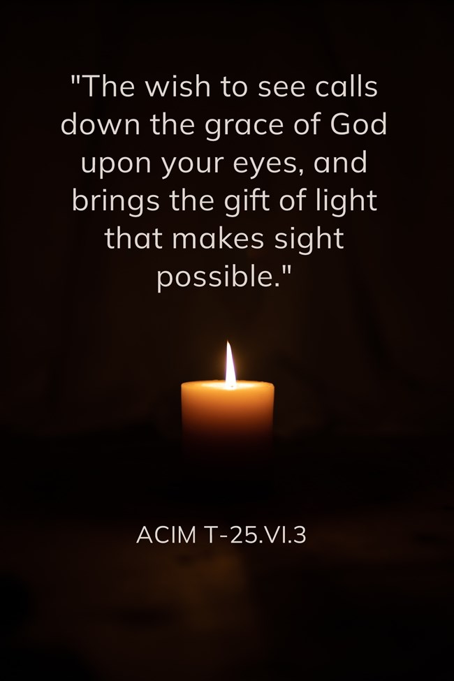 Understanding Light – Freeread