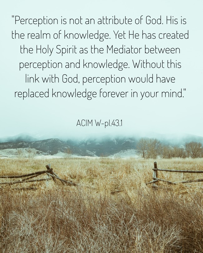 Right Perception – Freeread