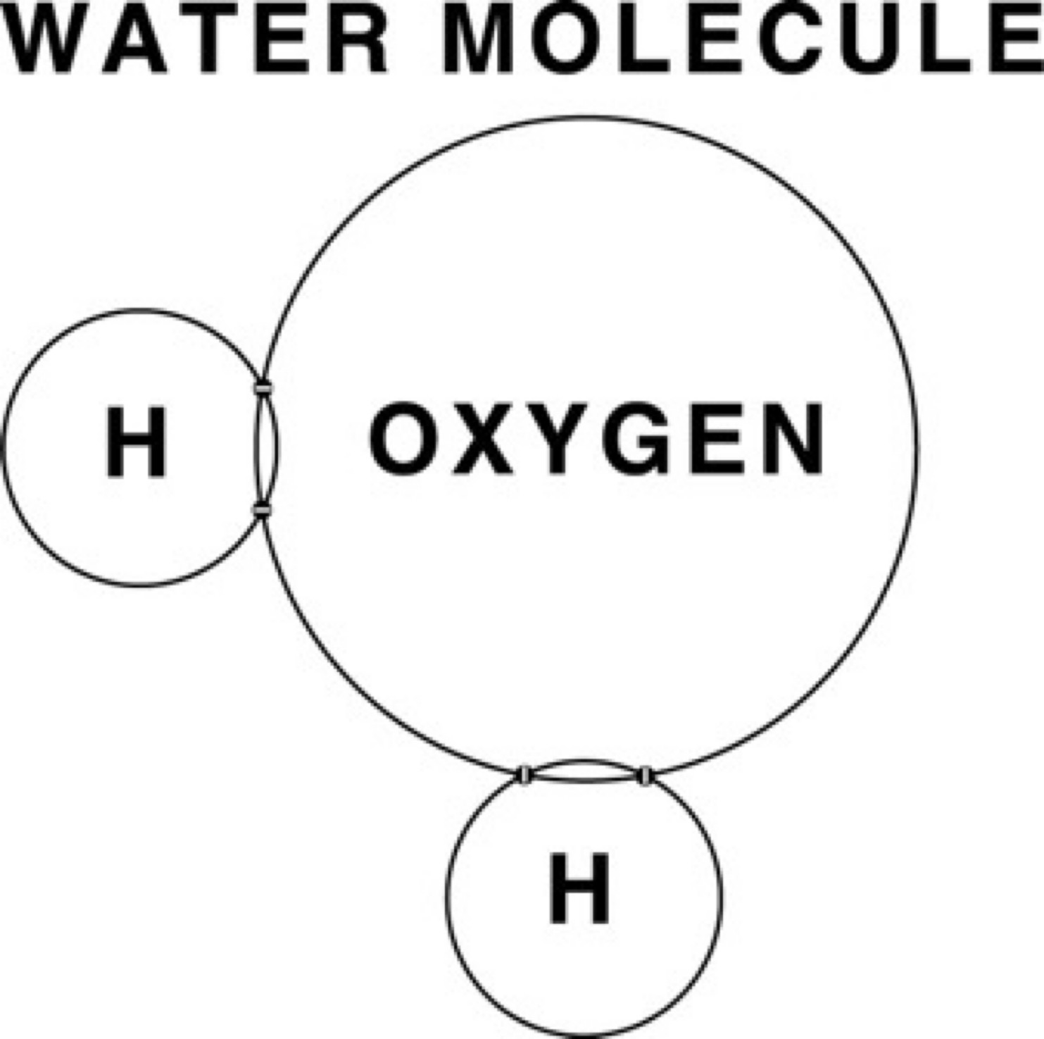 The Evolution of the Molecular Relationship – Freeread